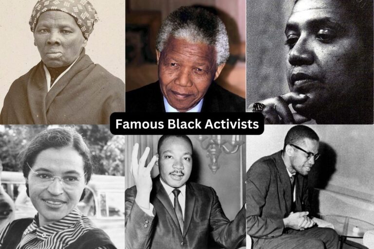 Black Activists - 10 Most Famous - Have Fun With History