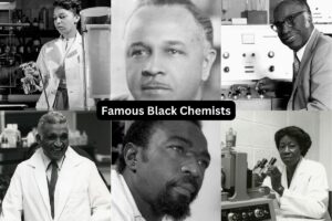 Black Chemists - 10 Most Famous - Have Fun With History