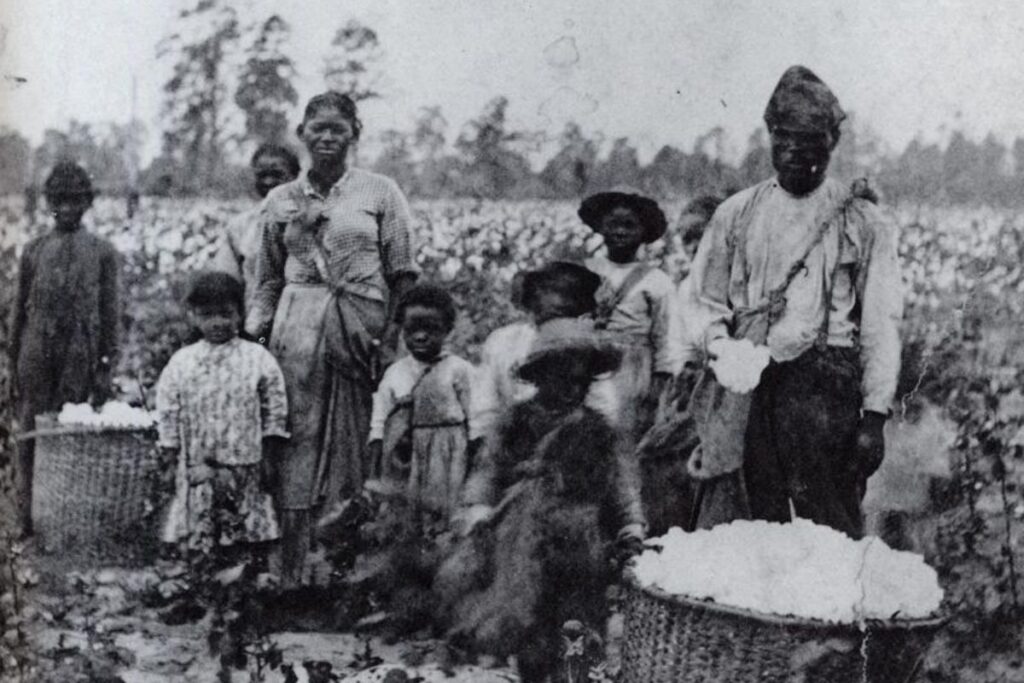 Black Slave Owners - 10 Most Famous - Have Fun With History