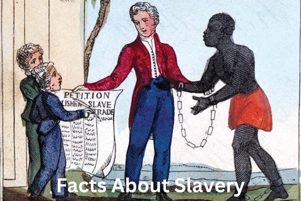 10 Facts About Slavery - Have Fun With History
