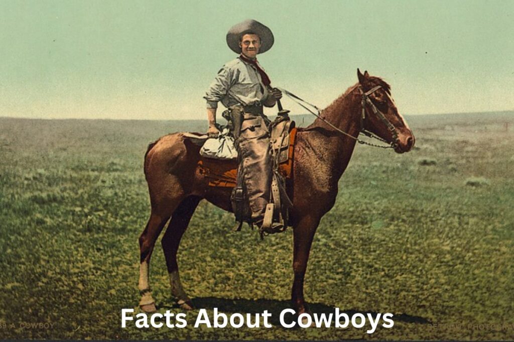 10 Facts About Cowboys - Have Fun With History