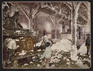 Cotton Gin Facts and History - Have Fun With History