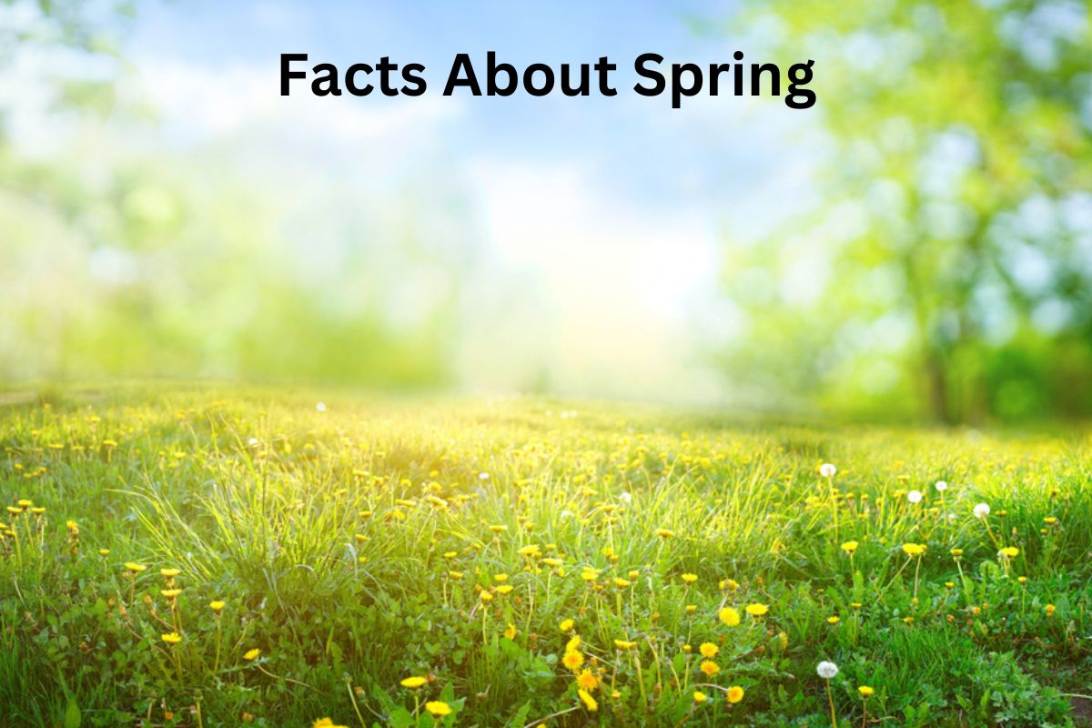 15 Facts About Spring Have Fun With History 15 Facts About Spring Have Fun With History