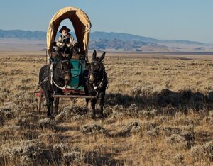 10 Facts About Pioneers of Western America - Have Fun With History