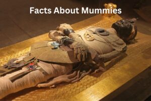 15 Facts About Mummies - Have Fun With History