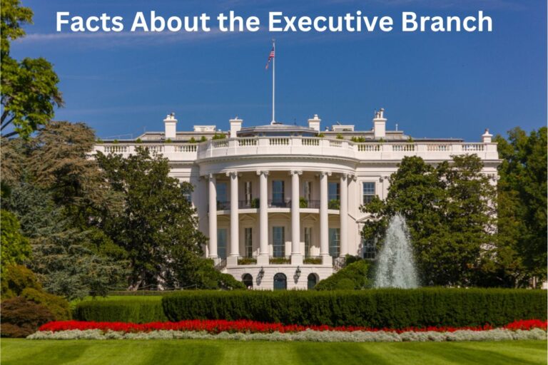 15 Facts About the Executive Branch - Have Fun With History