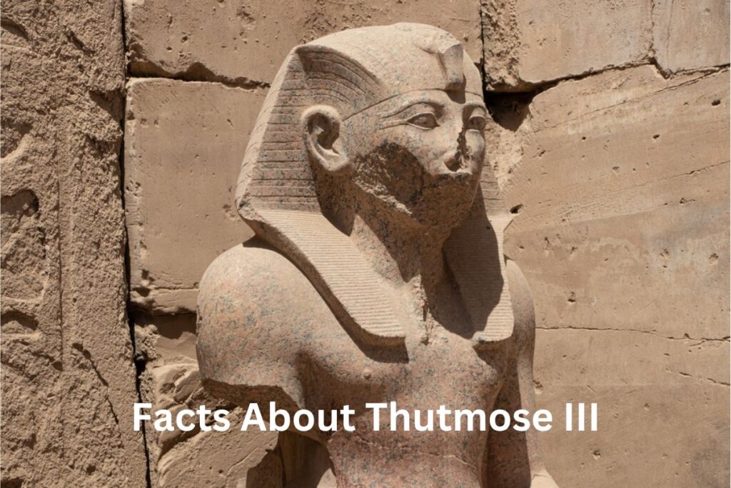 15 Facts About Thutmose III - Have Fun With History