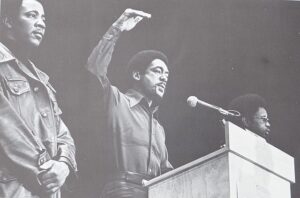 10 Most Famous Black Panthers - Have Fun With History