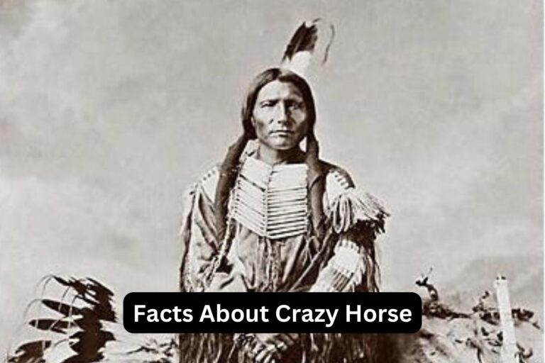 10 Facts About Crazy Horse - Have Fun With History