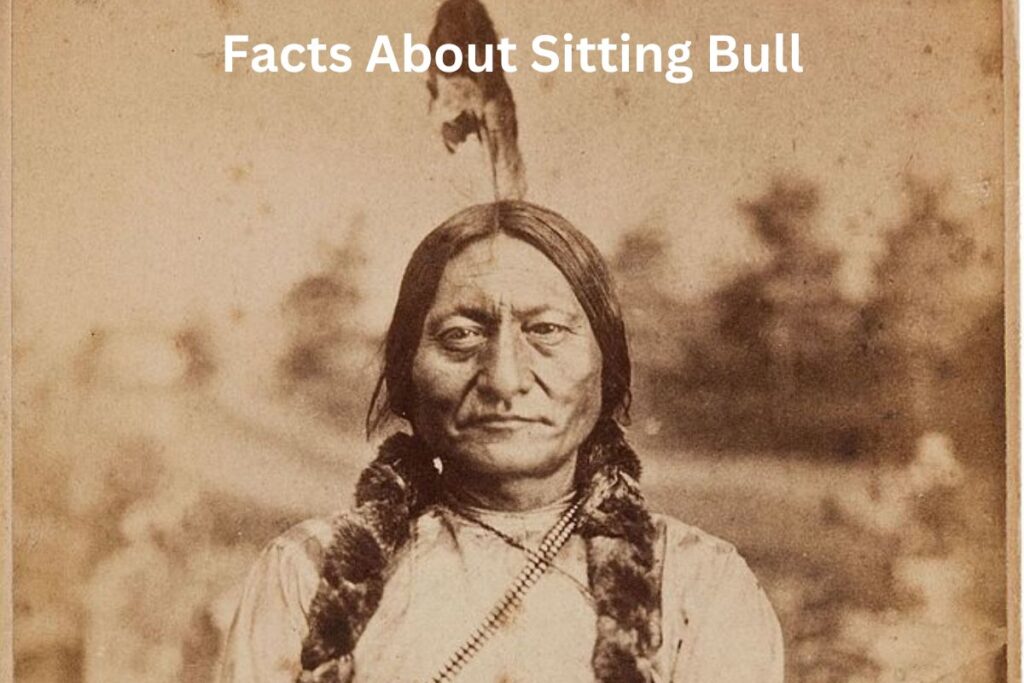 10 Facts About Sitting Bull - Have Fun With History
