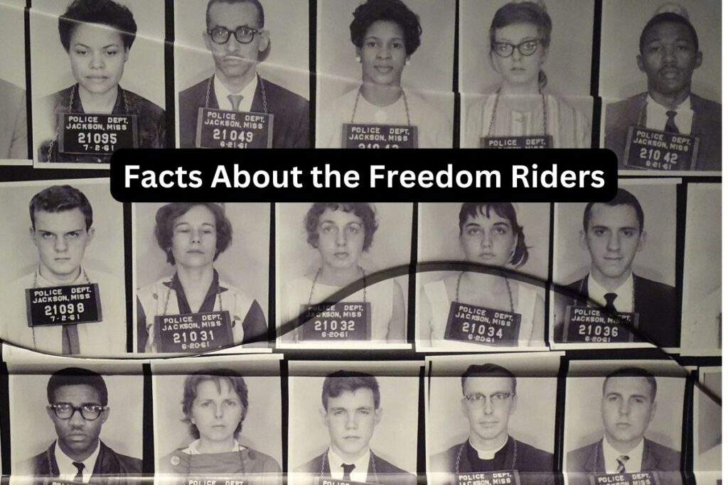 10 Facts About The Freedom Riders Have Fun With History