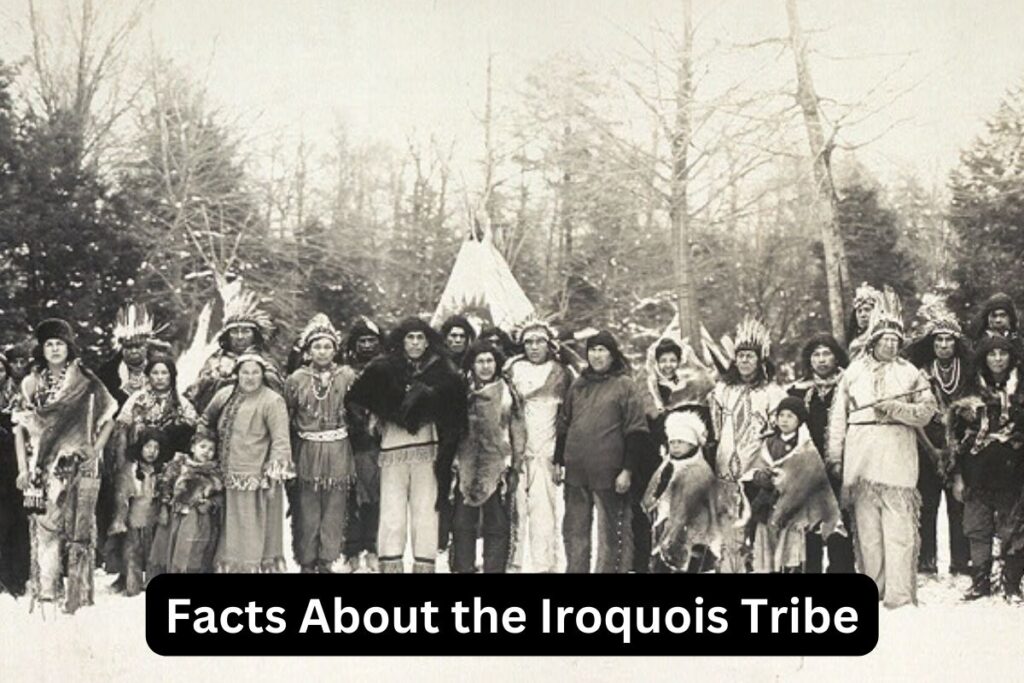 10 Facts About the Iroquois Tribe - Have Fun With History