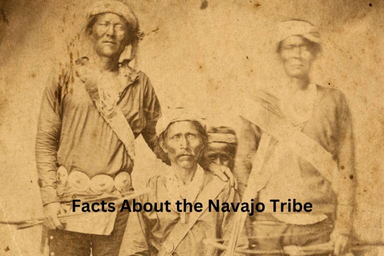 10 Facts About the Navajo Tribe - Have Fun With History