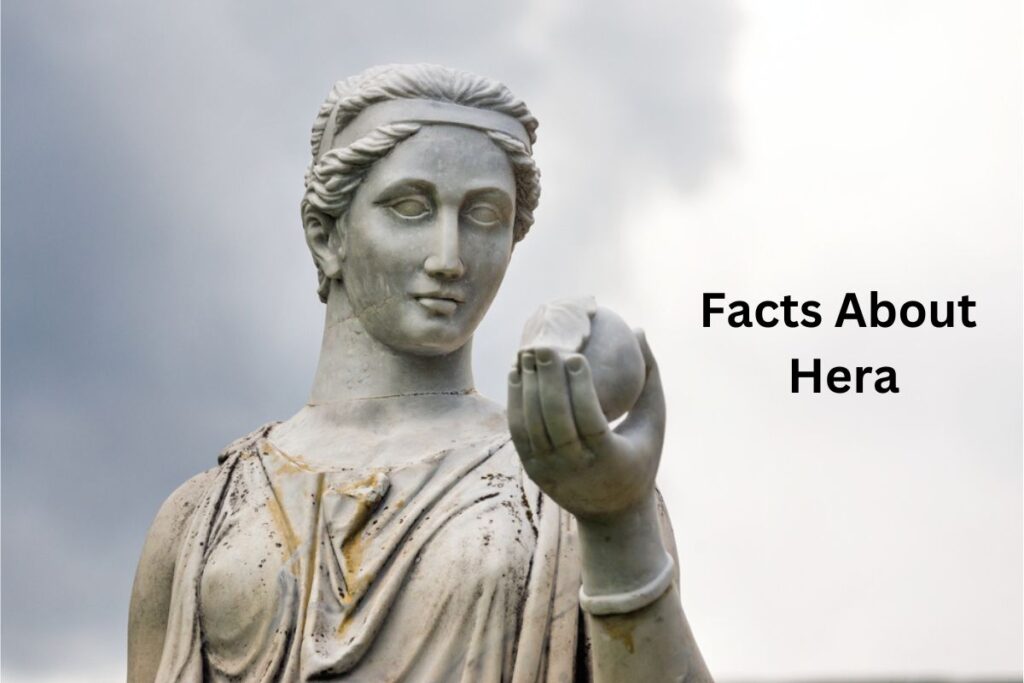 10 Facts About Hera - Have Fun With History