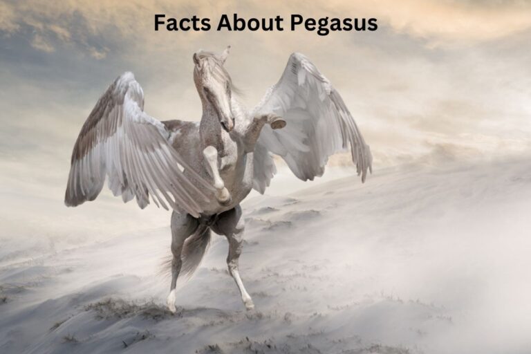 10 Facts About Pegasus - Have Fun With History