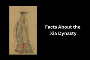 10 Facts About the Xia Dynasty - Have Fun With History