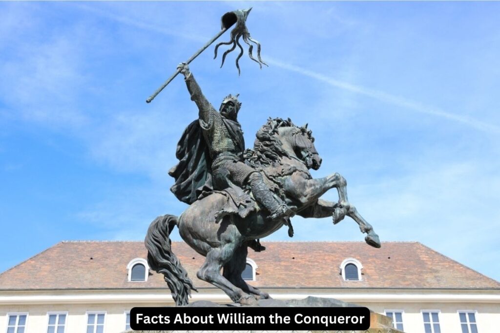 10 Facts About William the Conqueror - Have Fun With History