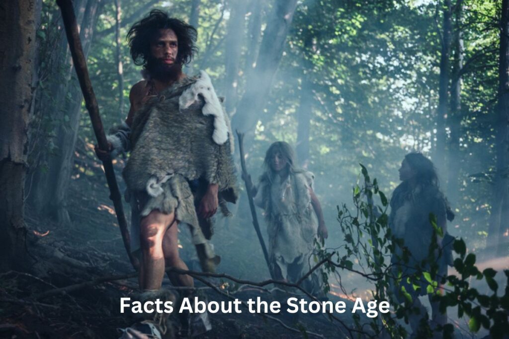 10 Facts About the Stone Age - Have Fun With History