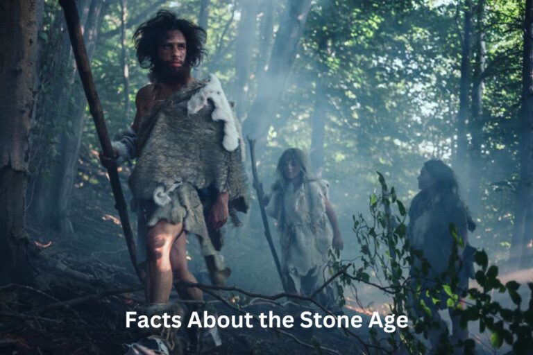 10 Facts About the Stone Age - Have Fun With History