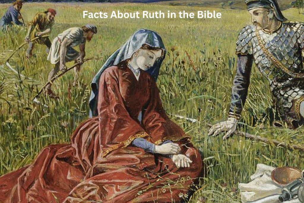 10 Facts About Ruth in the Bible - Have Fun With History