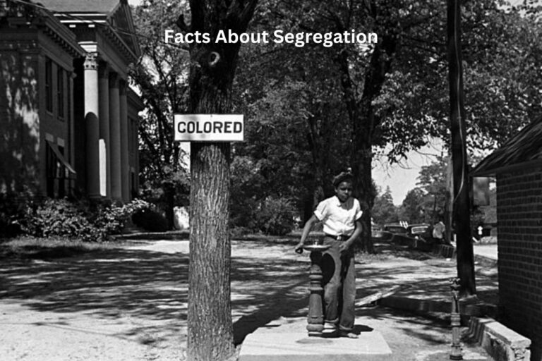 10 Facts About Segregation in the United States - Have Fun With History