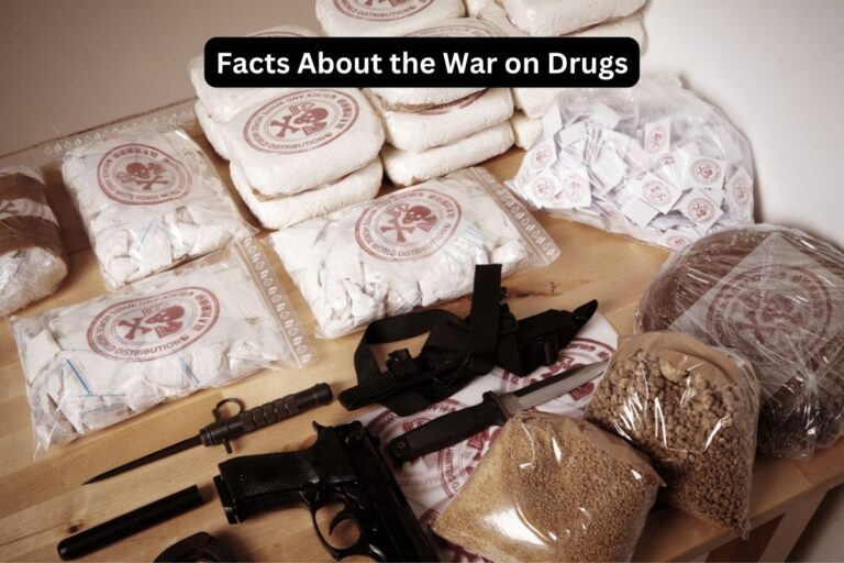 10 Facts About the War on Drugs - Have Fun With History