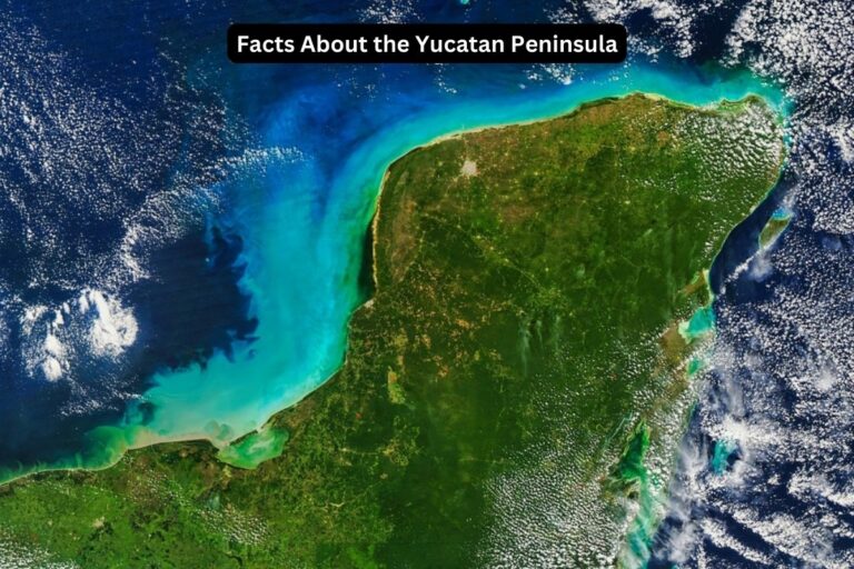 10 Facts About the Yucatan Peninsula - Have Fun With History