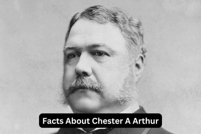 10 Facts About Chester A Arthur - Have Fun With History
